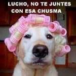 Imágenes de Risa Memes Chistosos para Whatsapp