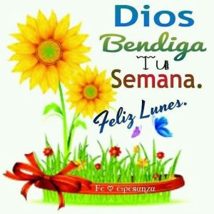Imágenes de Feliz Lunes Bendiciones Buenos Días