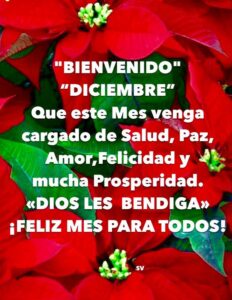 Bienvenido DICIEMBRE ¡Imágenes y FRASES para Compartir!